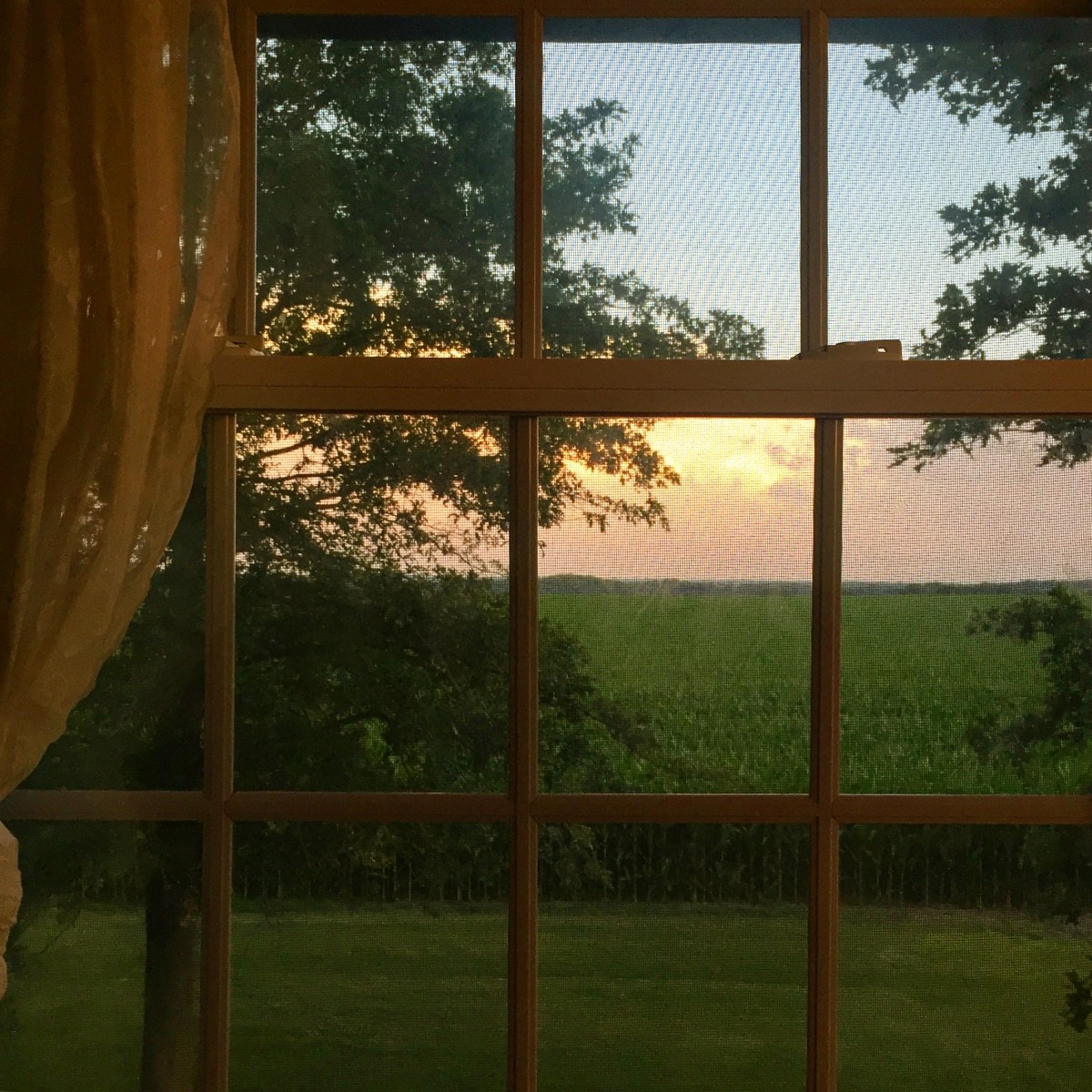 A Meditation on a Skyline – Staring Out Windows