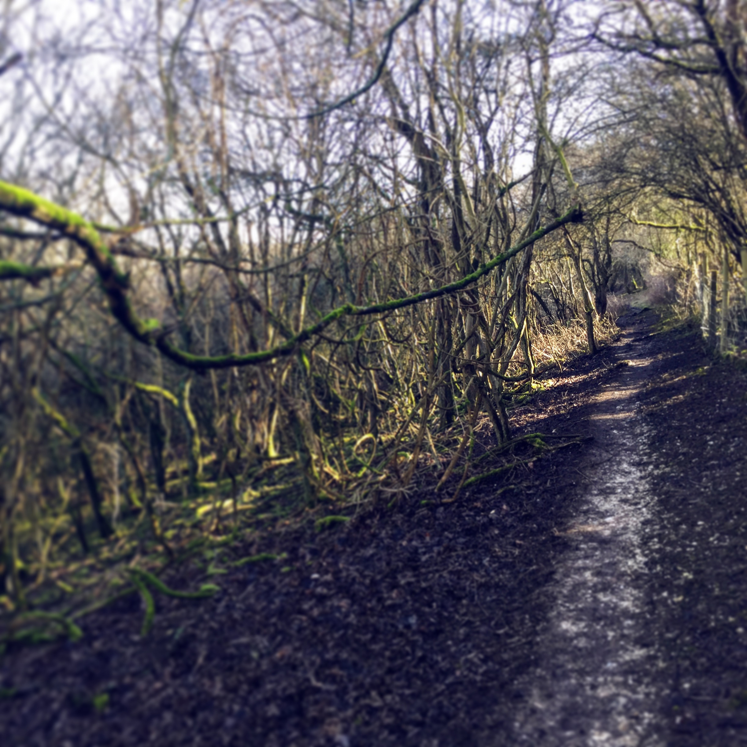 English Footpaths: Steep Hills and Scenic Overlooks Along this Lewes ...