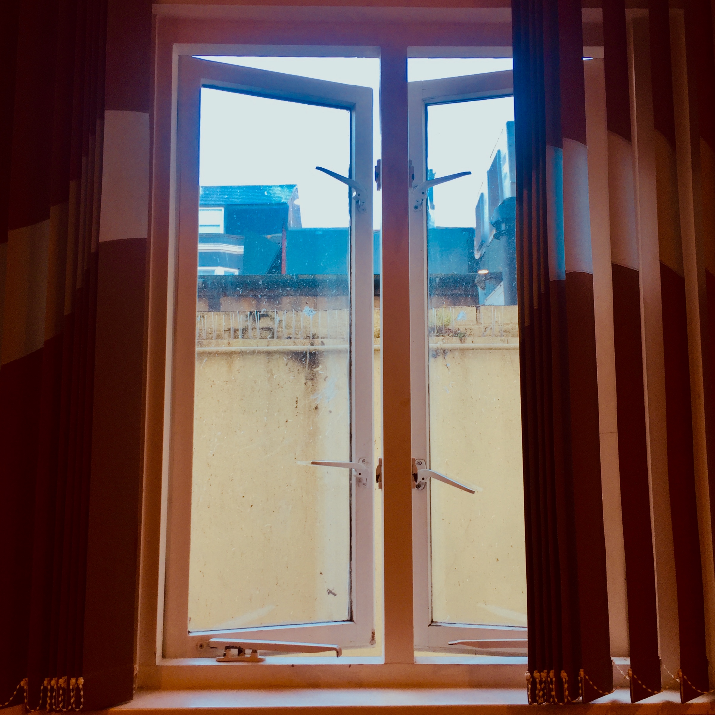 When Elvis Serenades, No View is Needed – Staring Out Windows